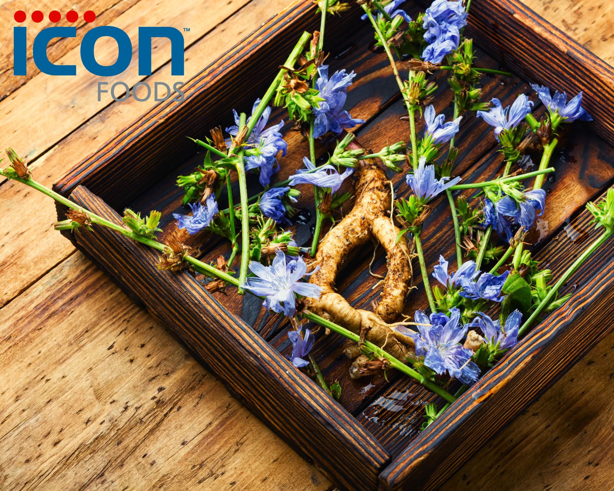 Decrease Sugar with Chicory Root Inulin! - Icon Foods