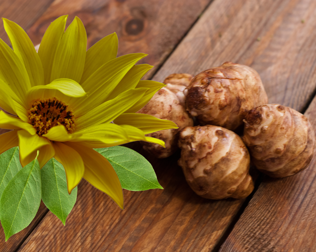 Formulate with PreBiotica JA Inulin! - Icon Foods