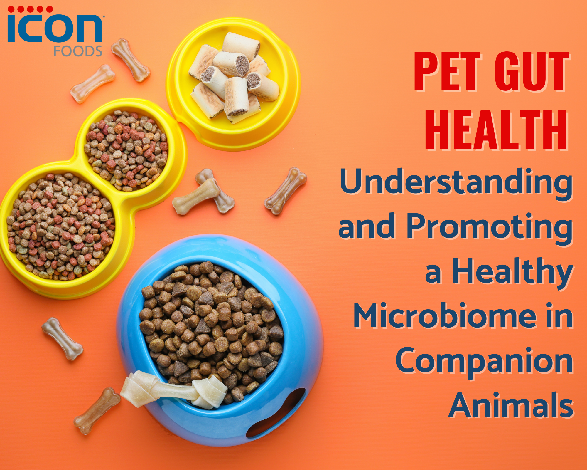 Pet Gut Health: Understanding and Promoting a Healthy Microbiome in ...