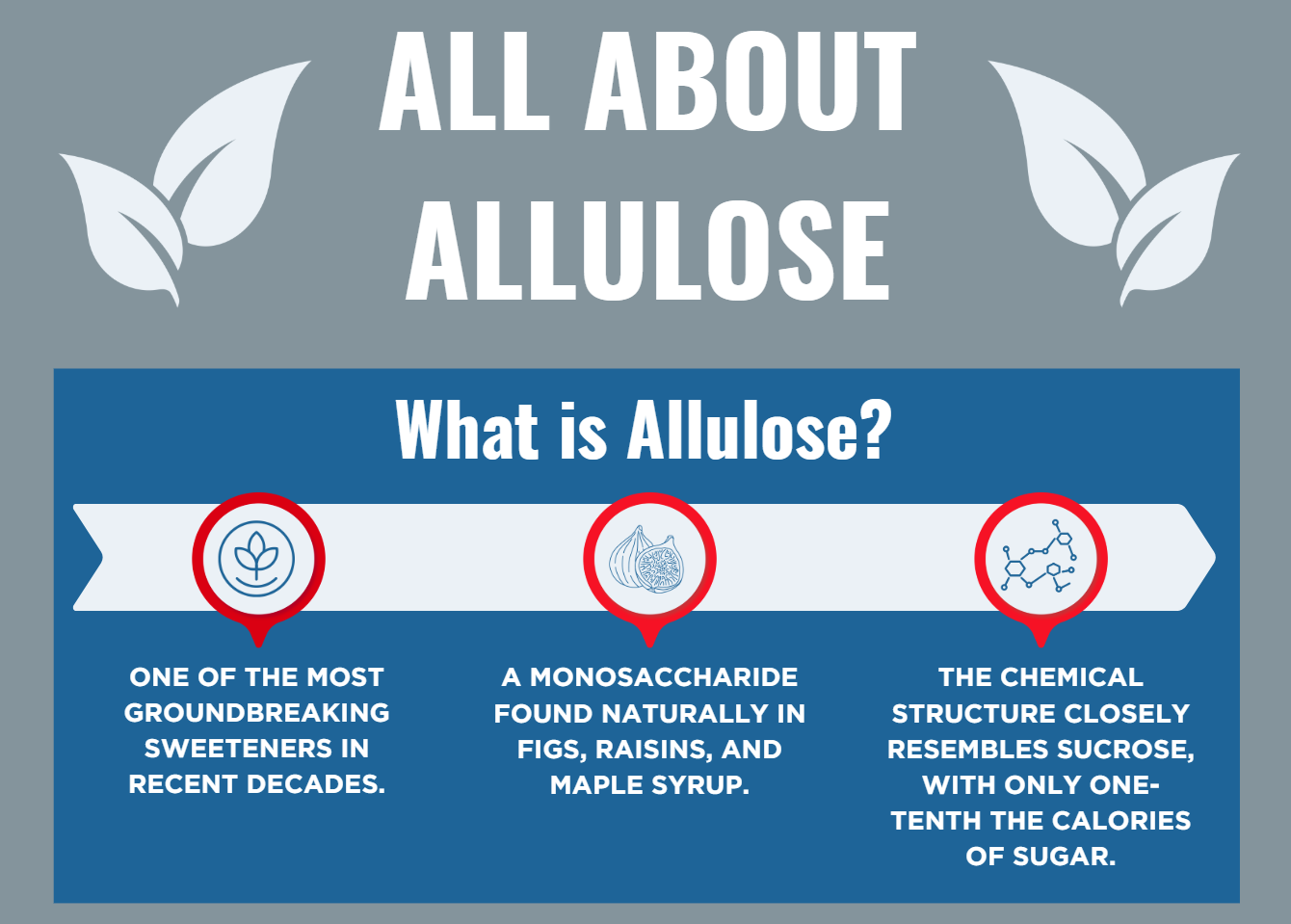 All About Allulose - Icon Foods
